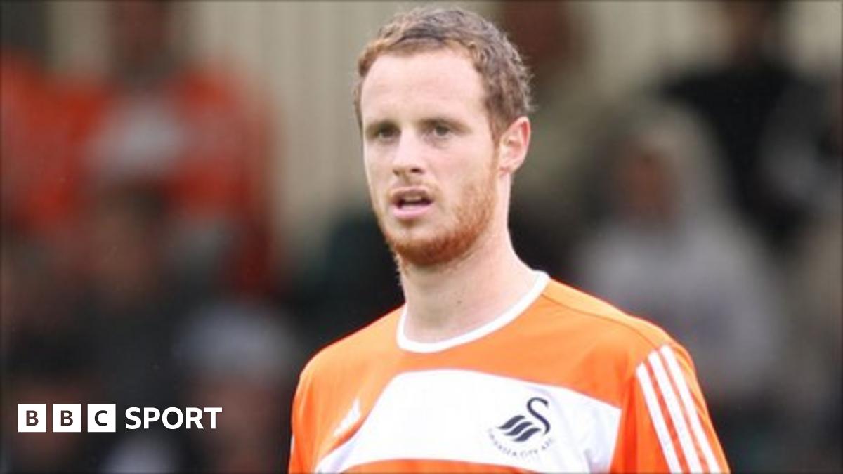 Swansea's Ryan Harley completes Brighton move - BBC Sport
