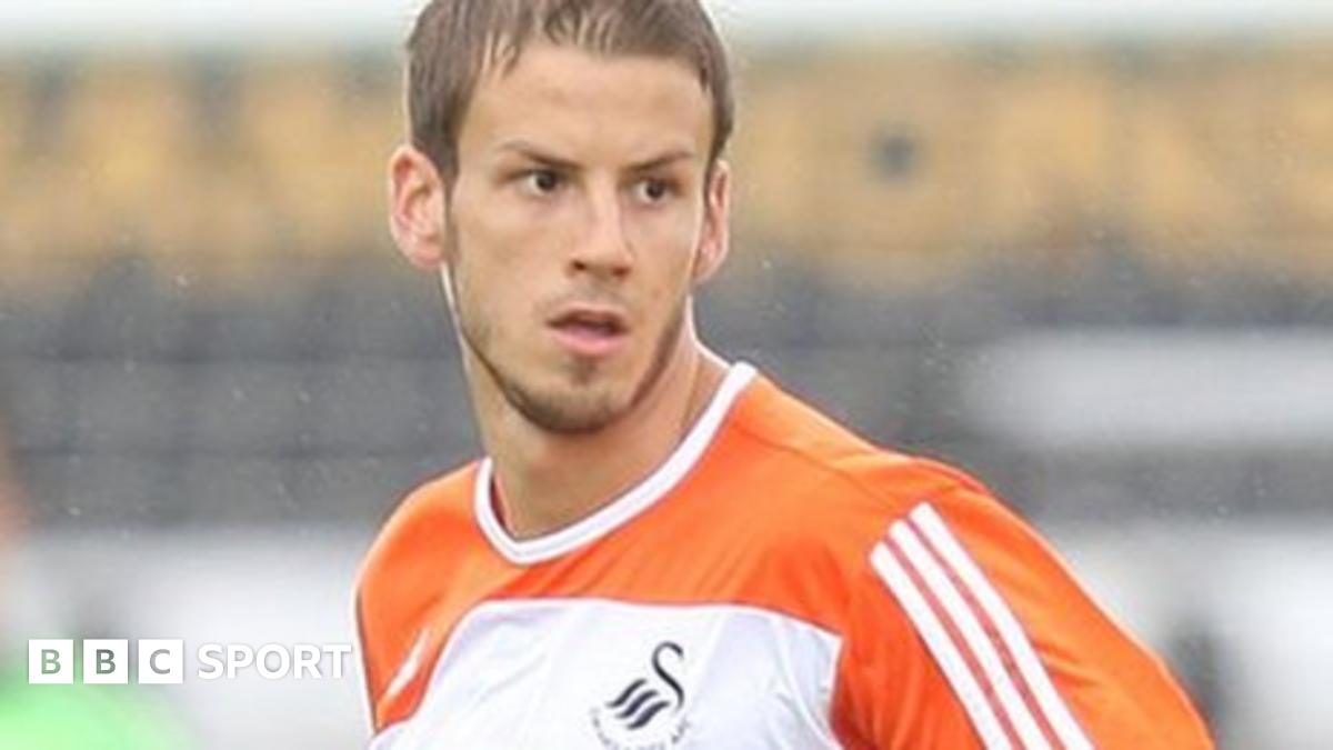 Leon Britton and Andrea Orlandi set for Swansea return - BBC Sport