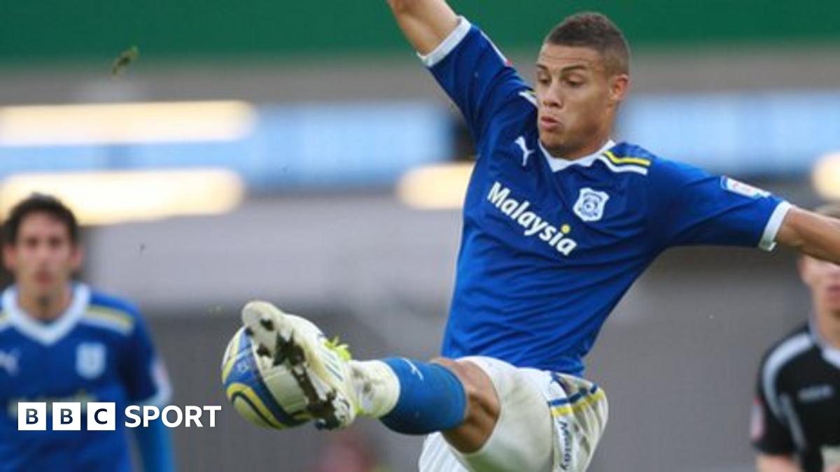 Rudy Gestede injury blow for Cardiff City - BBC Sport