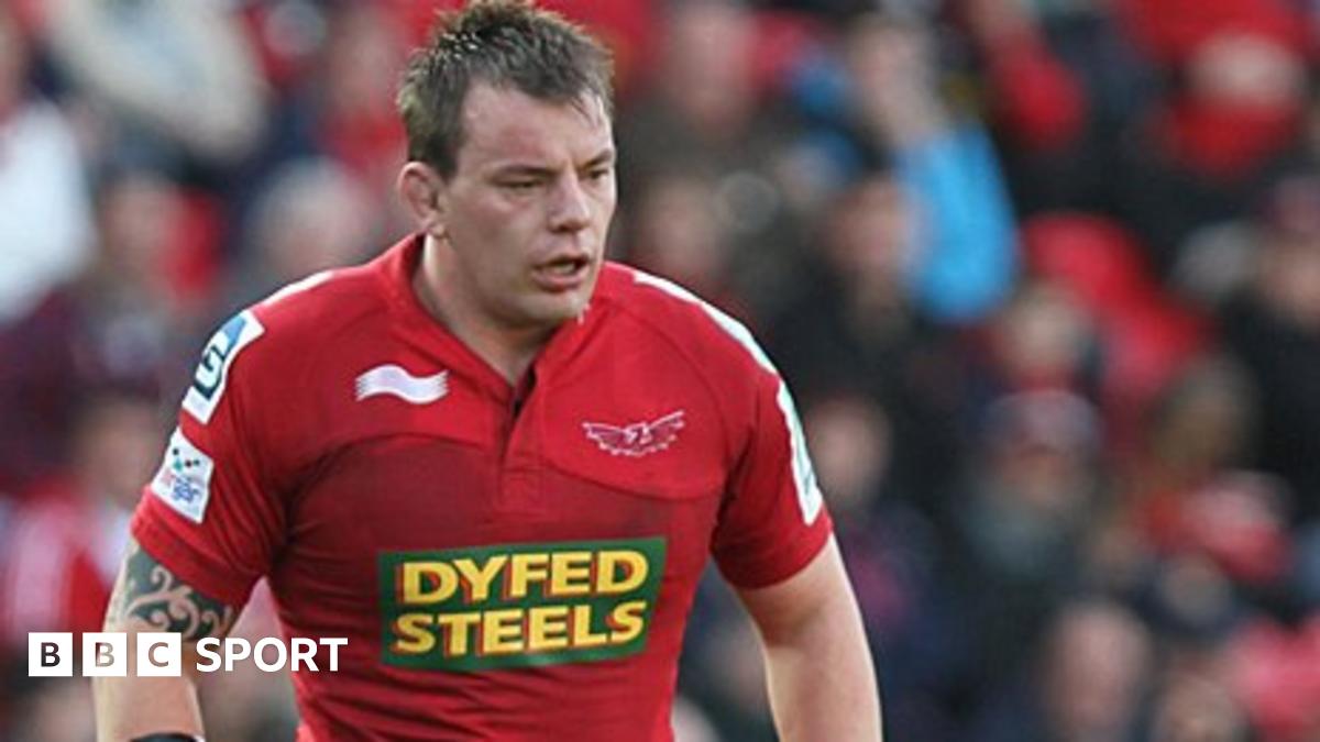 Wales boosted by European victories, says Scarlets captain Matthew Rees ...