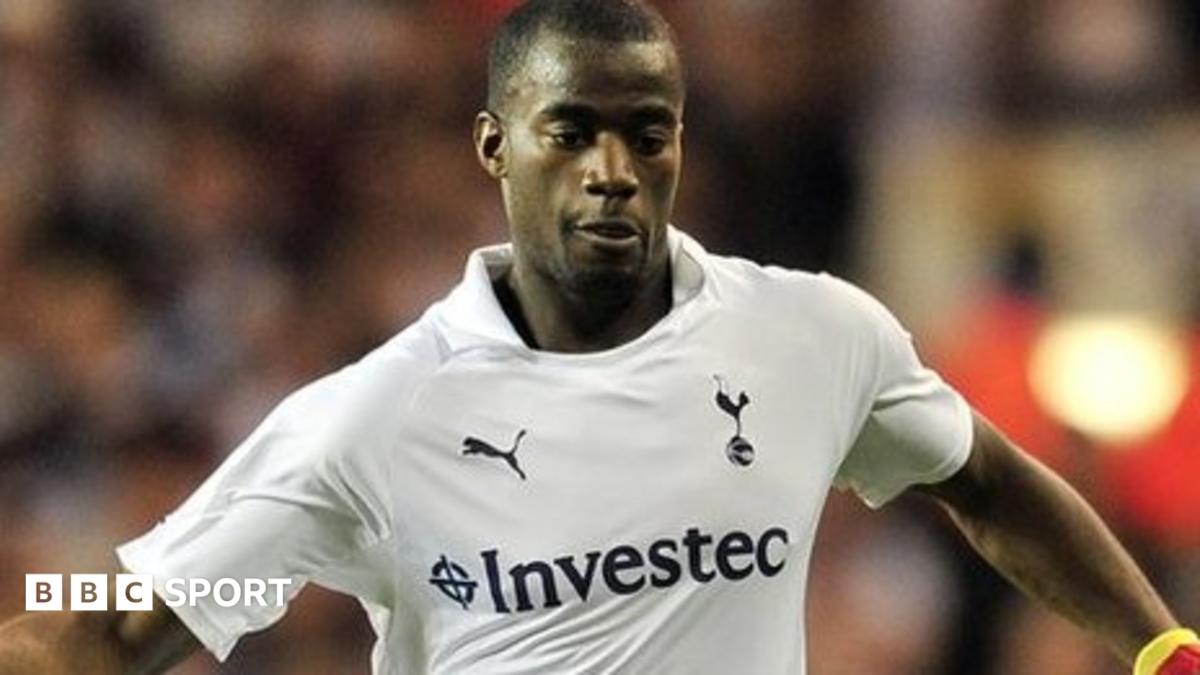 Wolves sign Sebastien Bassong on loan from Tottenham - BBC Sport