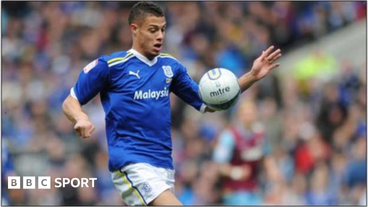 Rudy Gestede injury worry for Cardiff City - BBC Sport