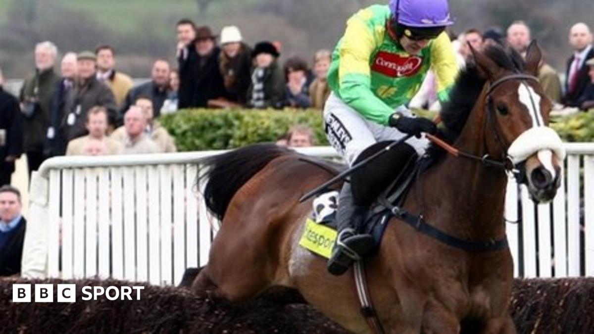 Kauto Star: Record-breaking racehorse is retired - BBC Sport