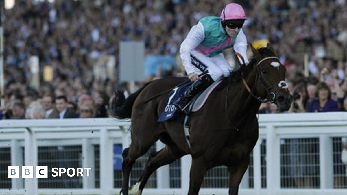 Flat racing 2012: Fabulous Frankel out to fly - BBC Sport