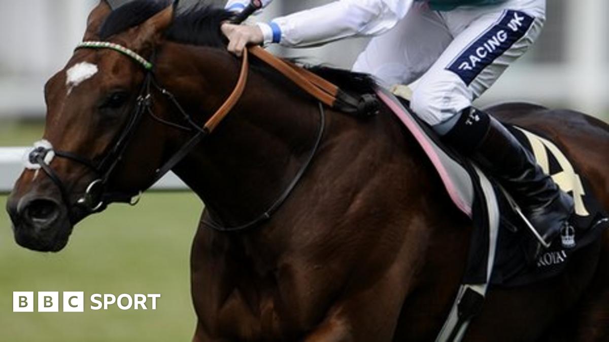 2011 Horse of the Year Frankel is given all-clear to return to training ...