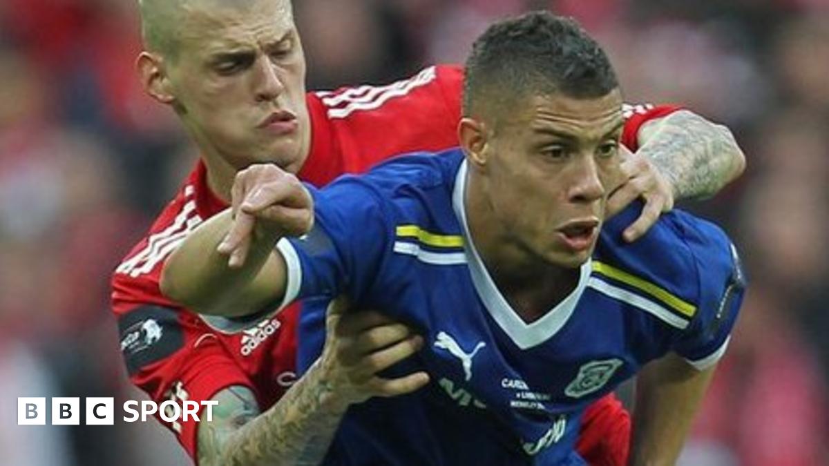 Cardiff City extend striker Rudy Gestede's contract until 2014 - BBC Sport