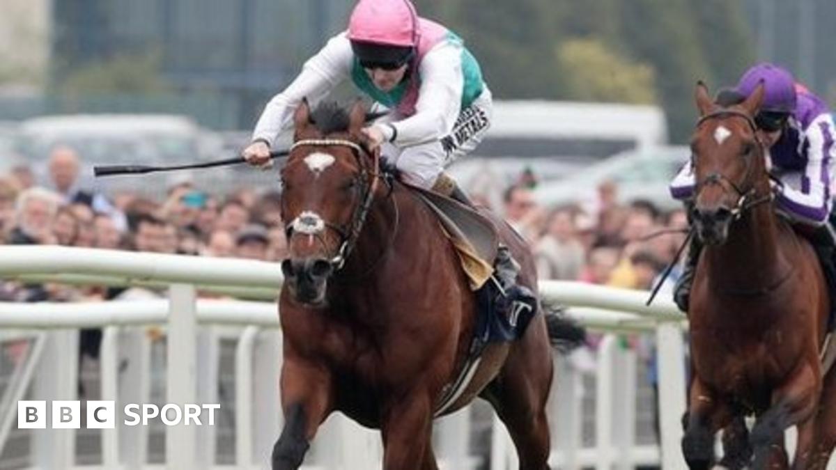 Frankel ranked as world's best for at least 25 years - BBC Sport