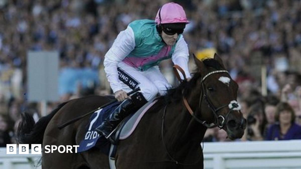Frankel set for Sussex Stakes at Glorious Goodwood - BBC Sport