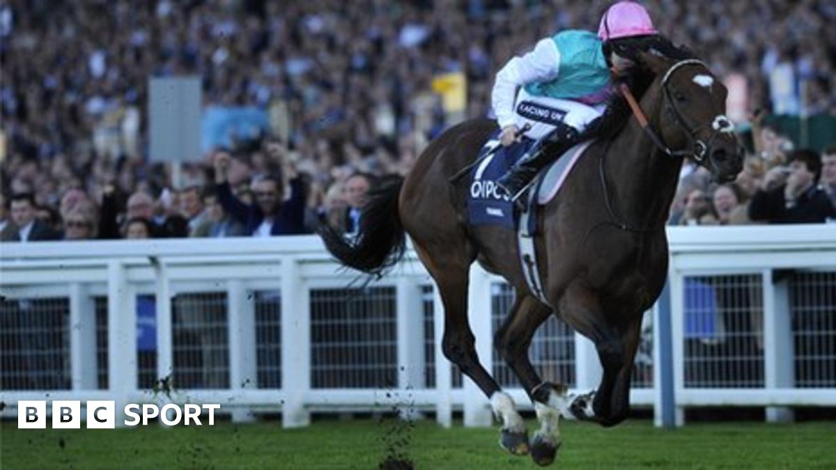 The greatest racehorse ever? Frankel farewell sparks debate - BBC Sport