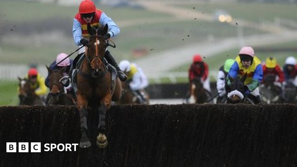 Hunt Ball: Gold Cup hopeful is racing's most improved horse - BBC Sport