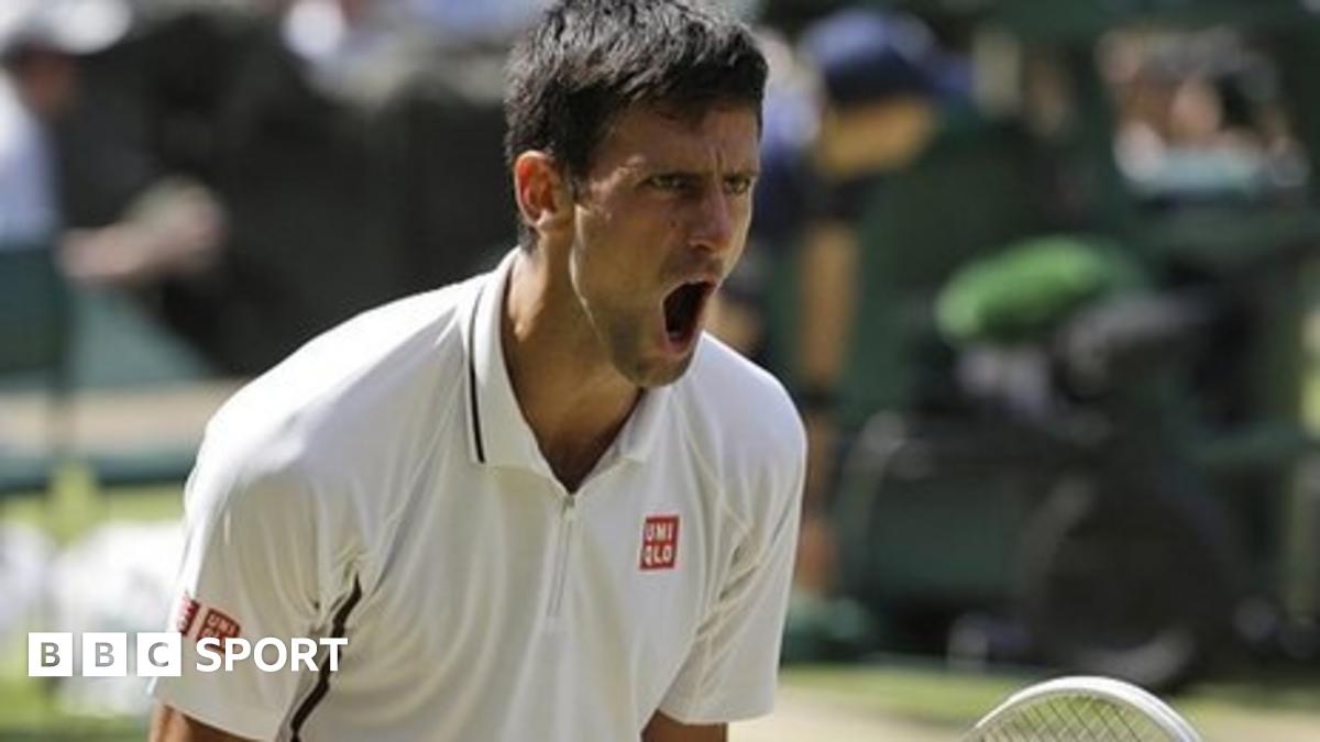 Novak Djokovic beats Del Potro to reach Wimbledon final - BBC Sport