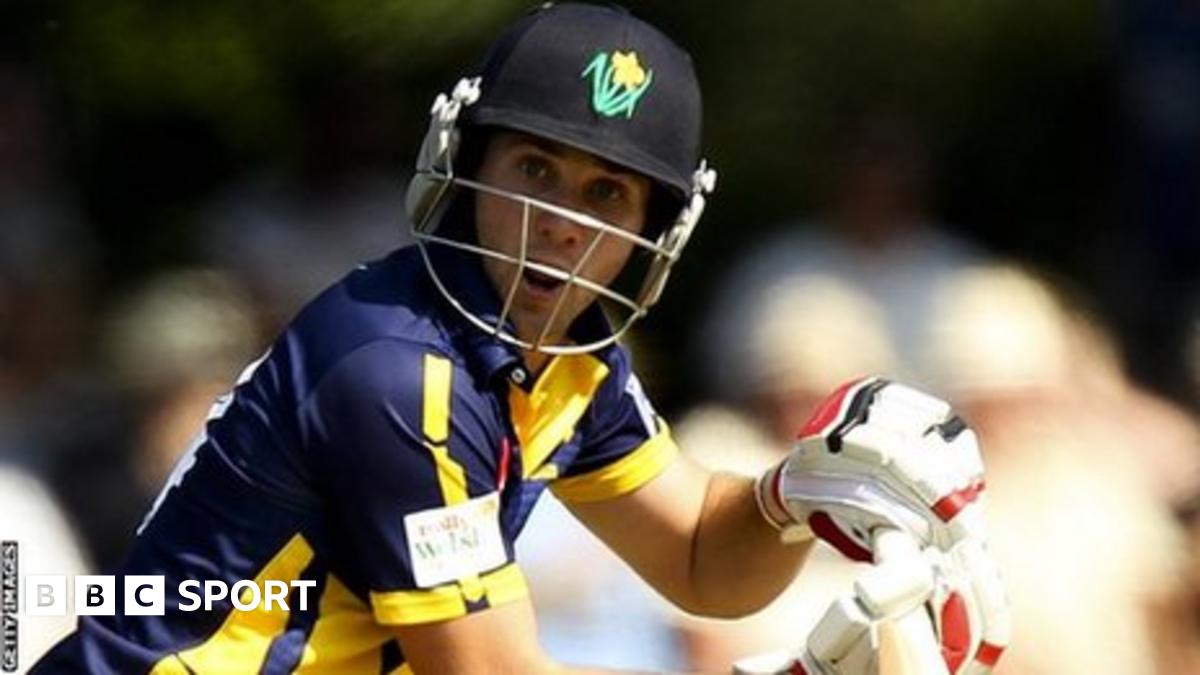 Glamorgan v Somerset: Jim Allenby helps hosts to win - BBC Sport