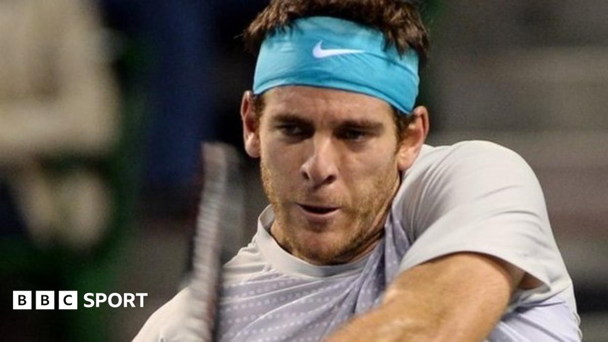 Juan Martin del Potro wins Japan Open in Tokyo - BBC Sport