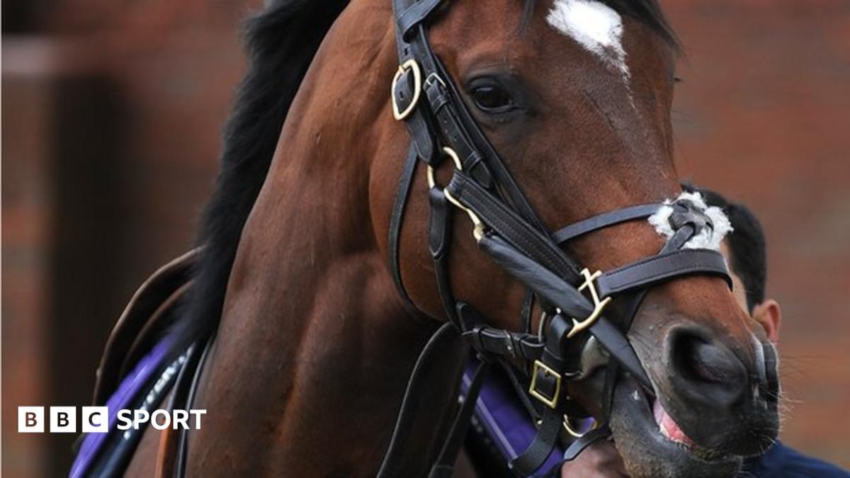 Frankel: 'Super stud' stallion in demand for £125,000 a time - BBC Sport
