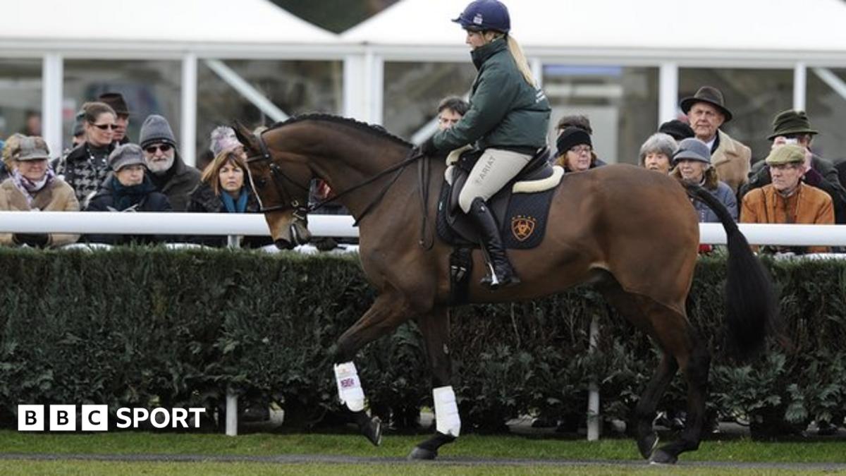 Kauto Star: One year on - from jump racing to dressage - BBC Sport