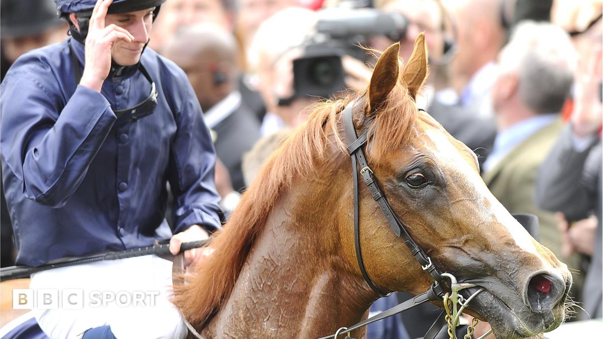Epsom: Derby winner Ruler Of The World misses Coronation Cup - BBC Sport
