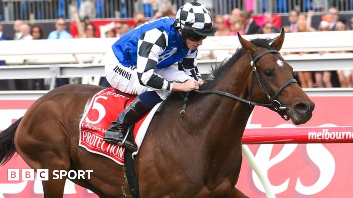 Melbourne Cup: Protectionist wins but favourite Admire Rakti dies - BBC ...