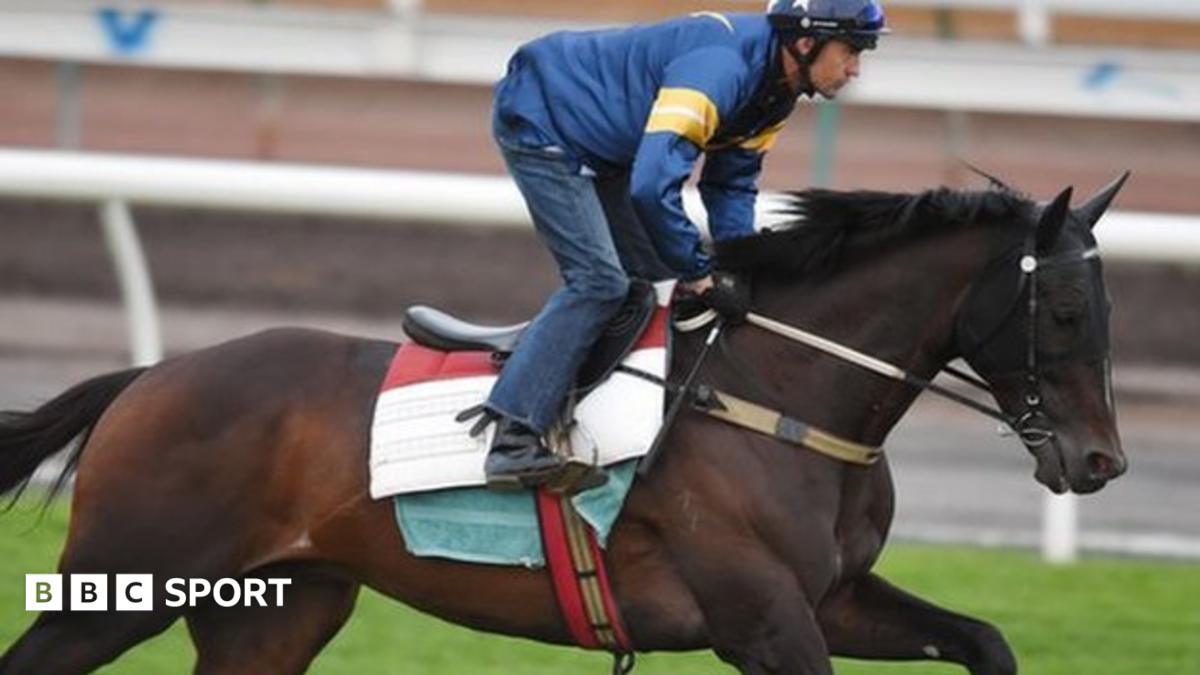 Melbourne Cup: Two horses die after race at Flemington - BBC Sport