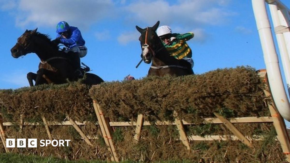 Hurricane Fly beats Jezki at Leopardstown in Ryanair Hurdle - BBC Sport