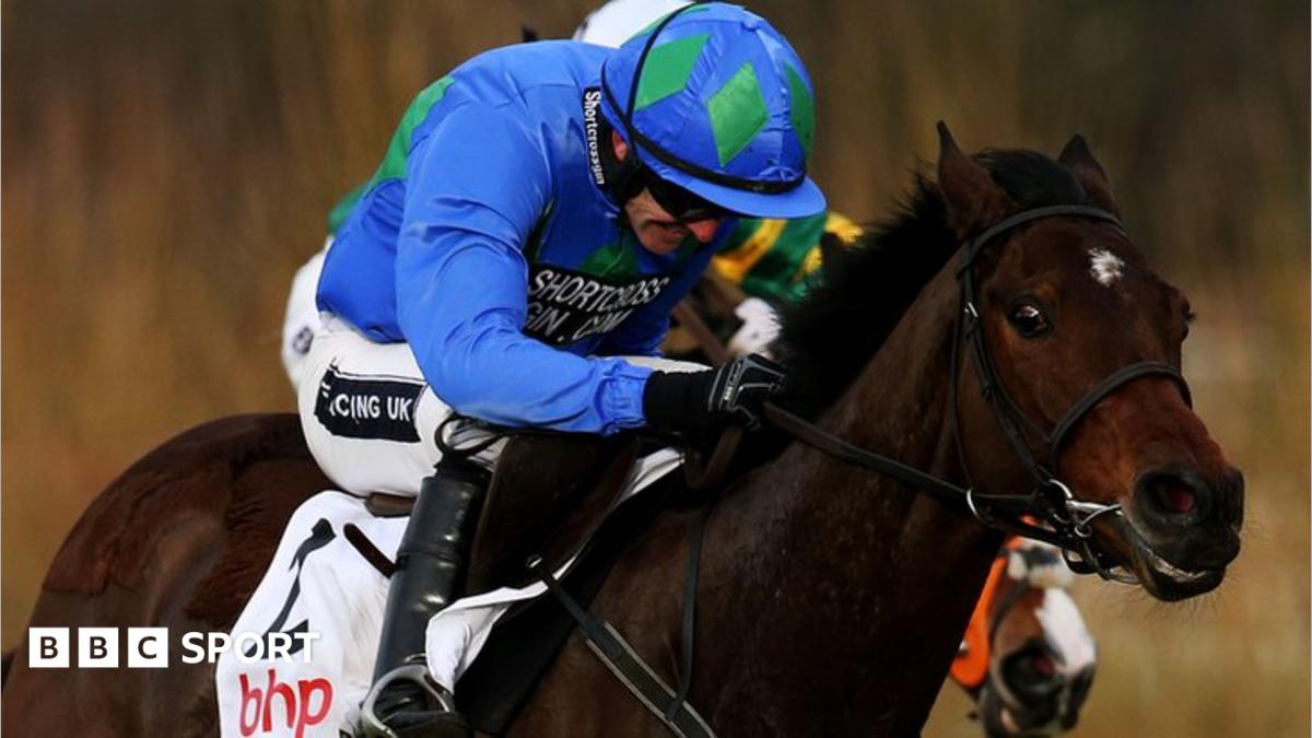 Hurricane Fly set for Champion Hurdle at Cheltenham - BBC Sport
