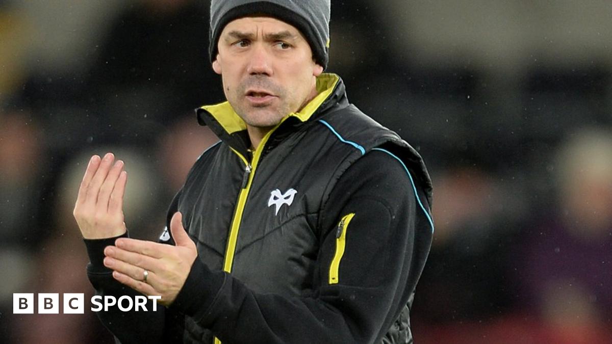 Wales will get 'best players on the park' says Gruff Rees - BBC Sport