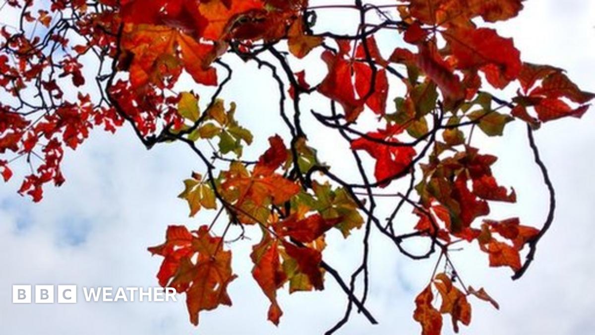 Shades of Autumn - BBC Weather