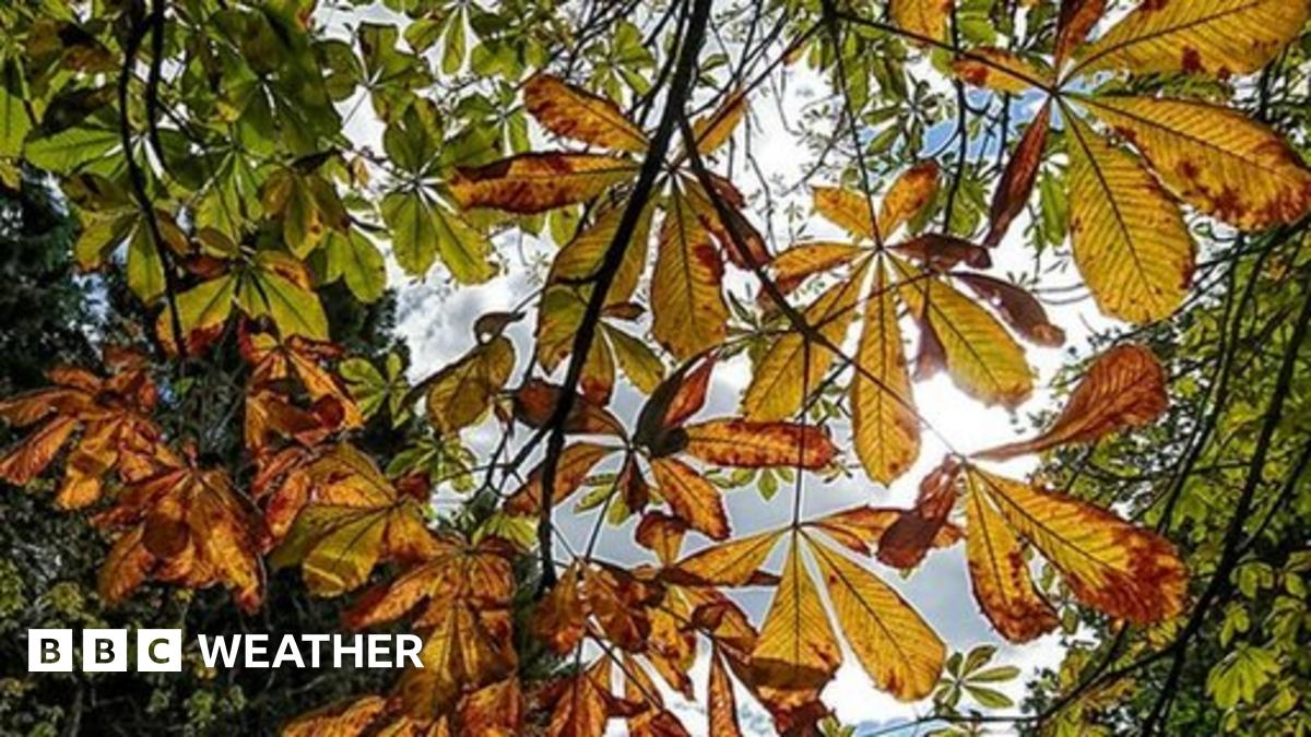 When does autumn start? - BBC Weather