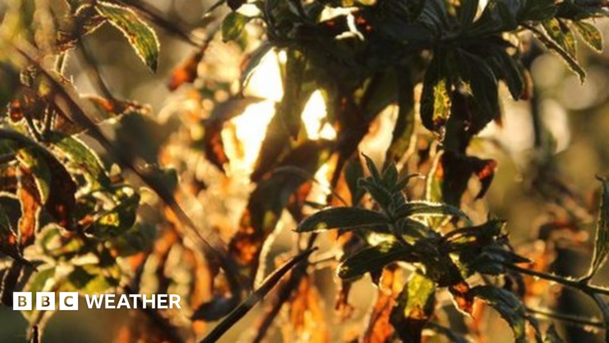 Weekend Weather Snaps - BBC Weather