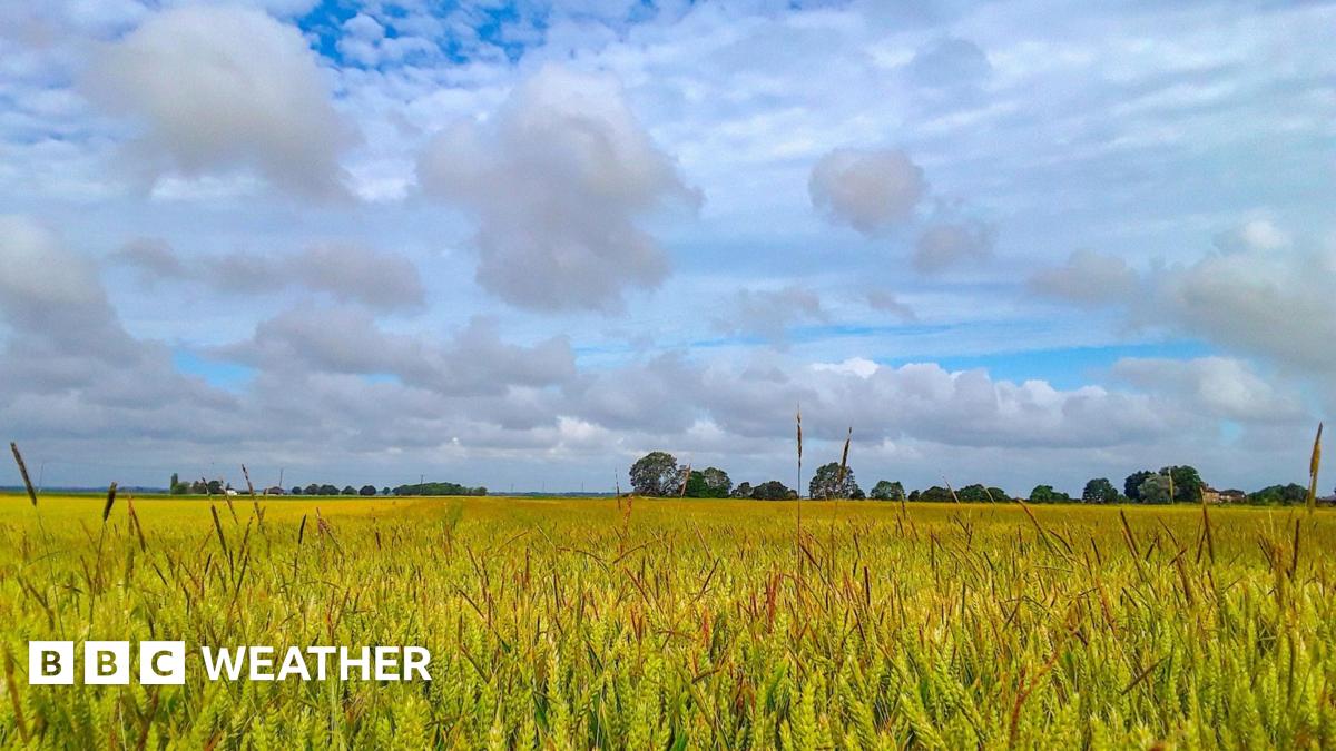 Will the weather warm up this weekend? - BBC Weather