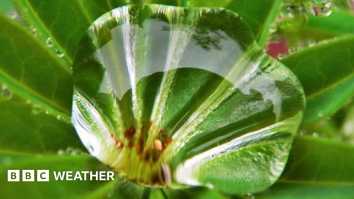 Drizzle or rain, sleet or snow? - BBC Weather