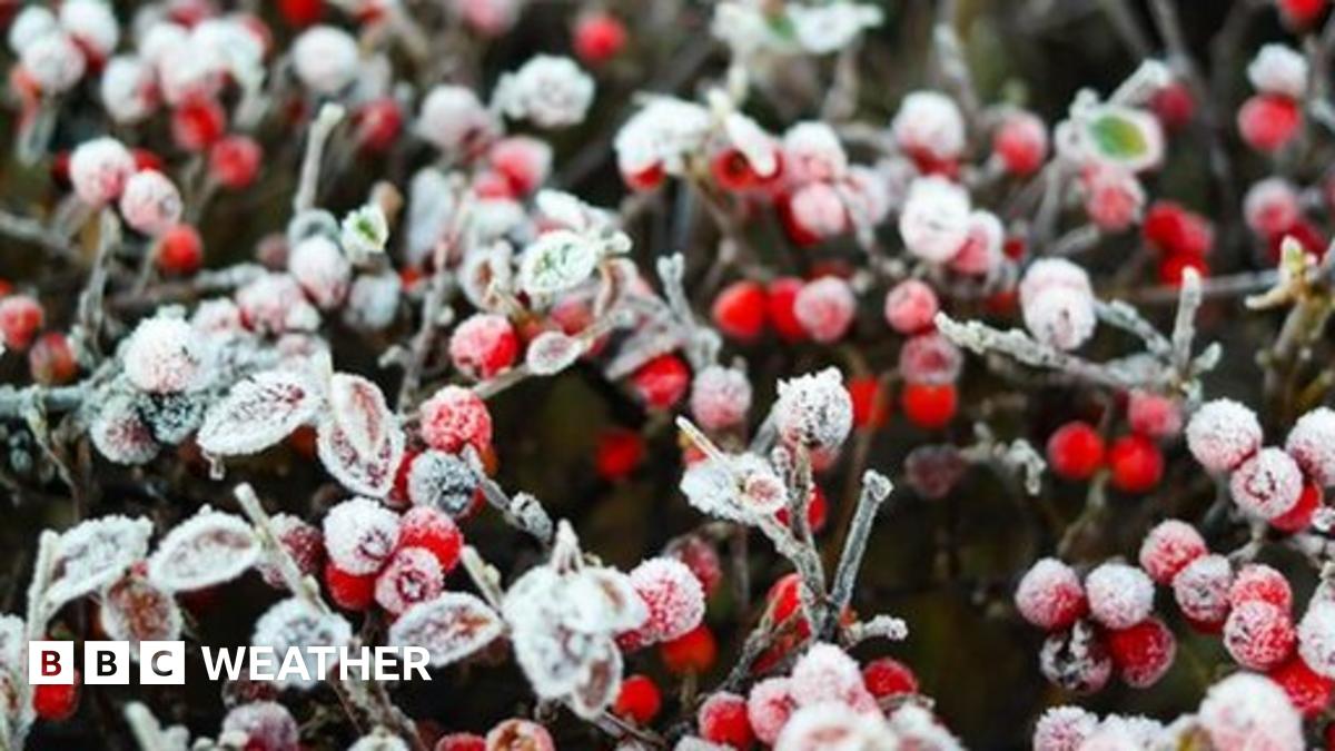 What causes different frost patterns? - BBC Weather