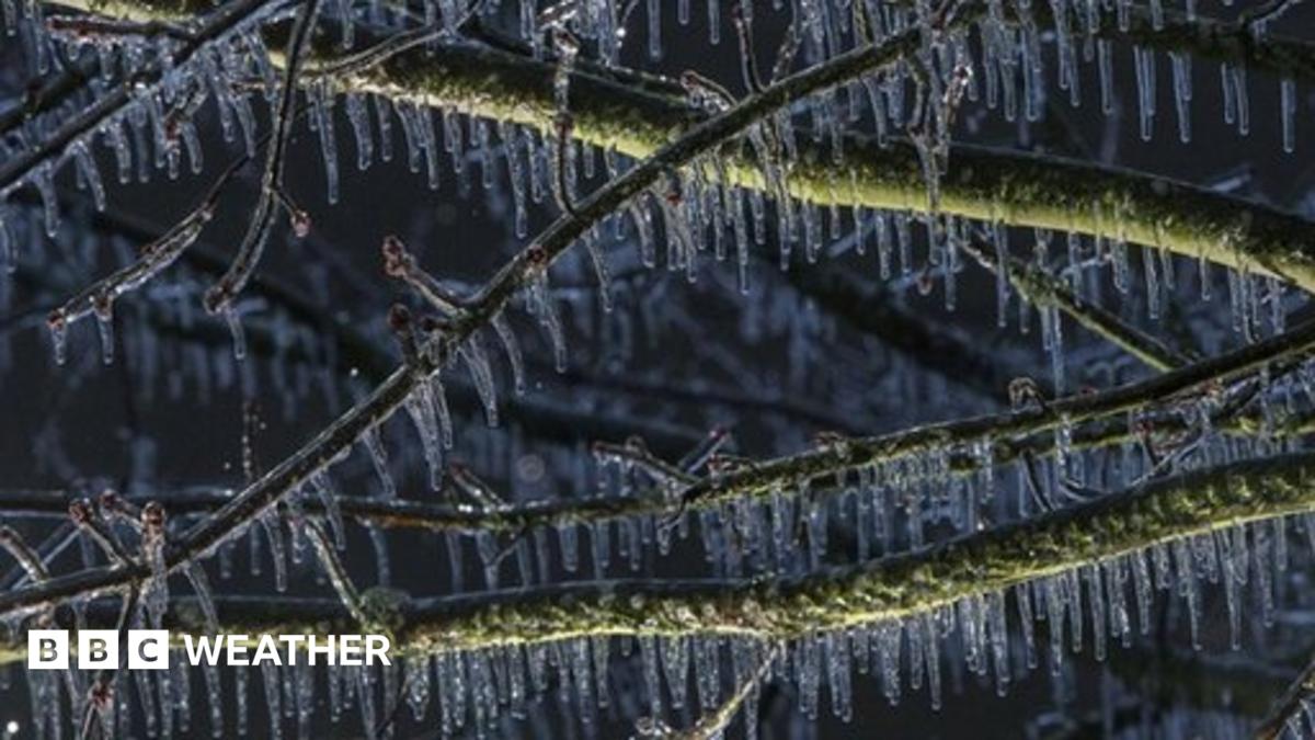 December world weather photos - BBC Weather
