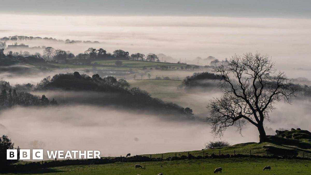 Mist and fog what's the difference? - BBC Weather