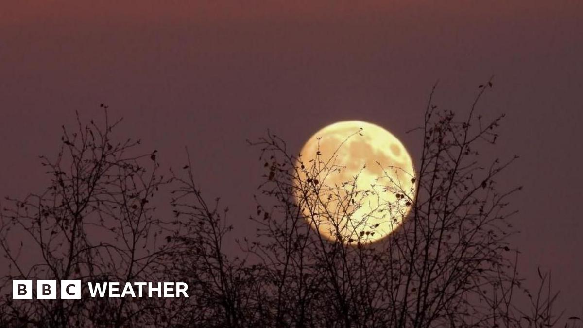 November full Moon: when to see the last supermoon of 2024 - BBC Weather