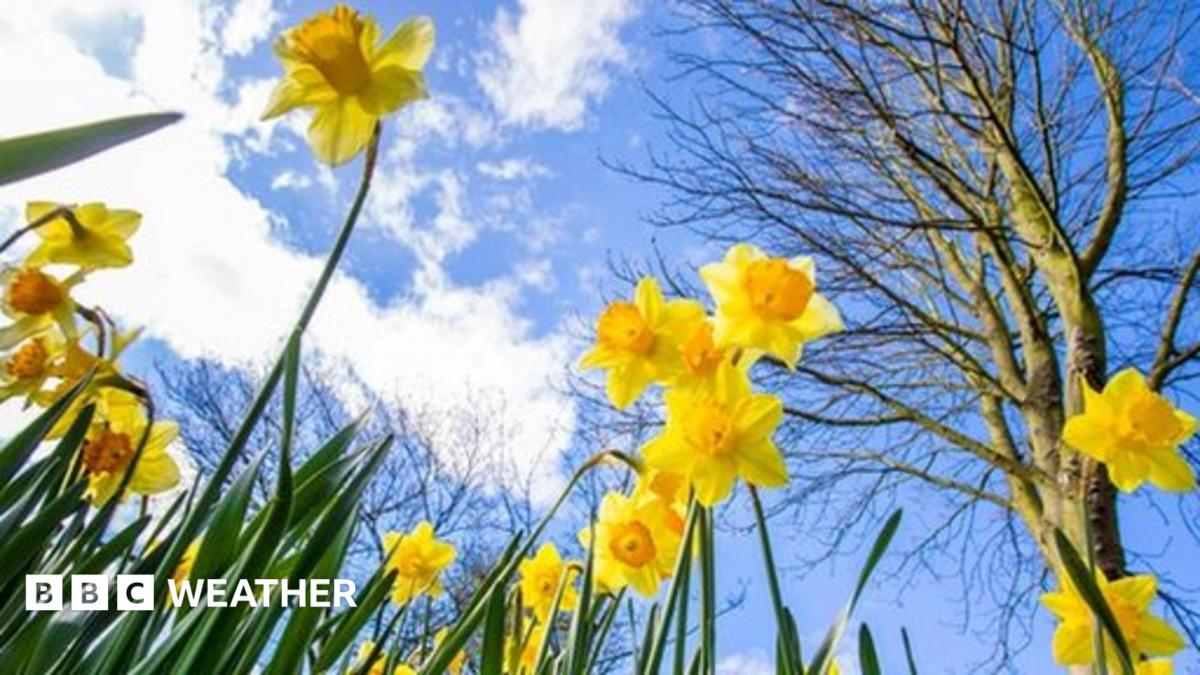 What is the spring equinox? - BBC Weather