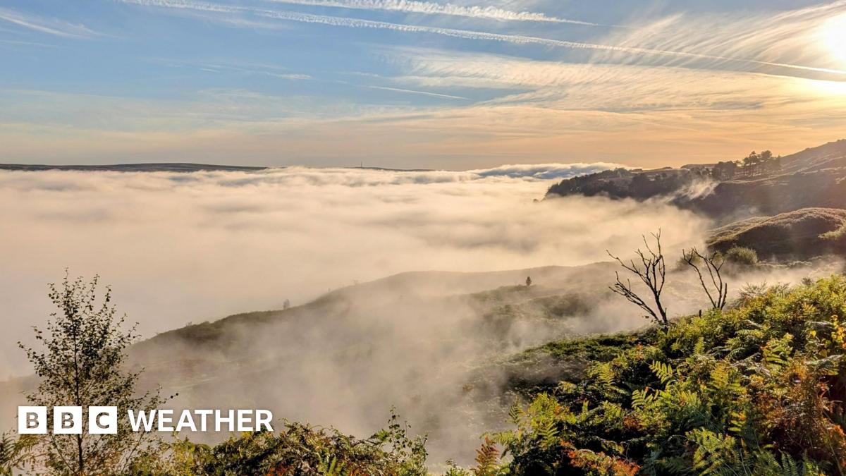 In pictures: Your stunning photos of fog - BBC Weather
