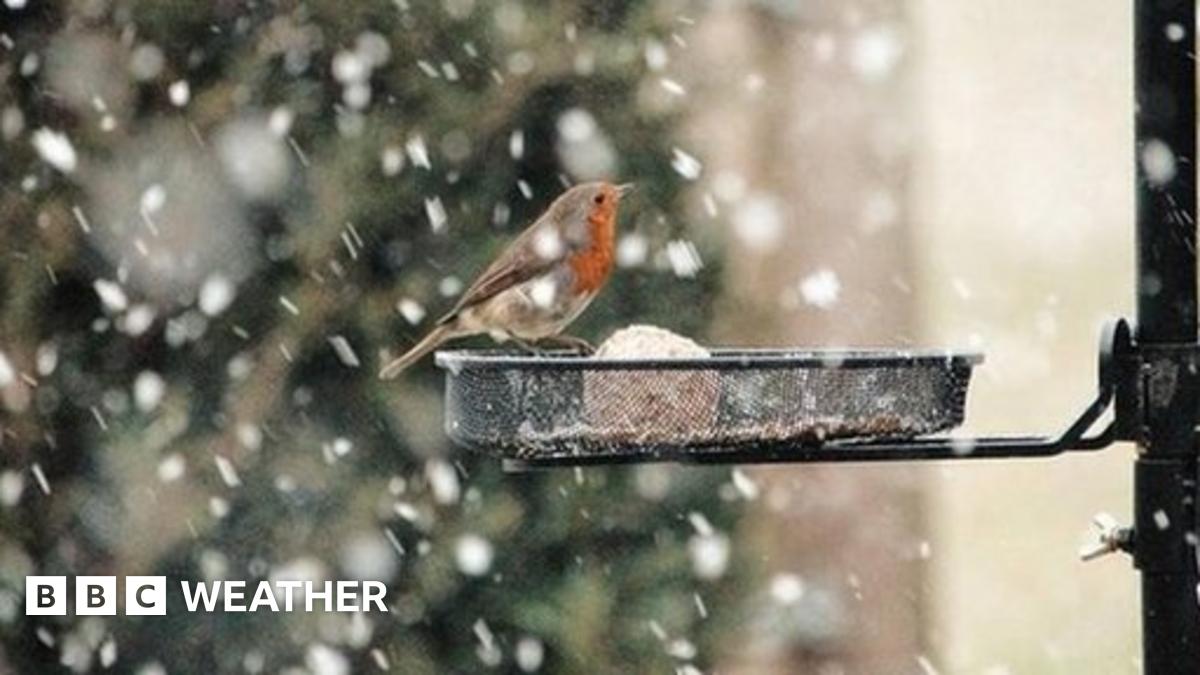 Will it be a white Christmas? - BBC Weather