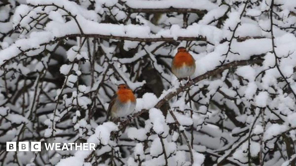 Will it be a white Christmas? - BBC Weather