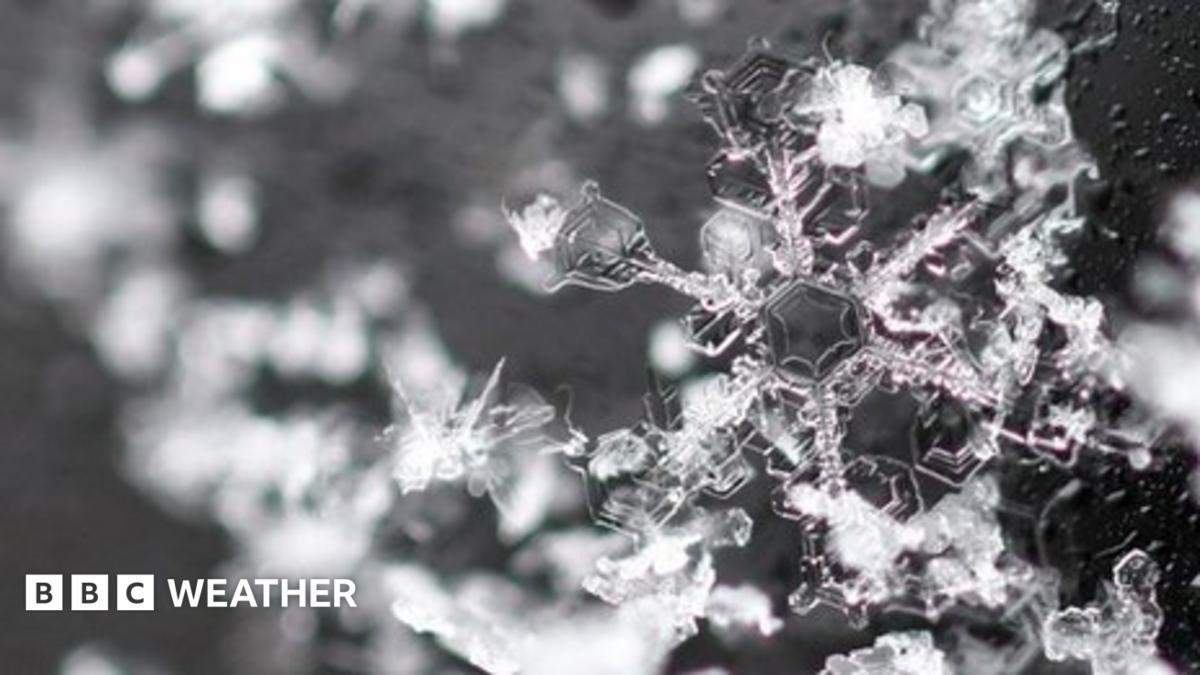 Beautiful snowflakes photographed by BBC Weather Watchers - BBC Weather
