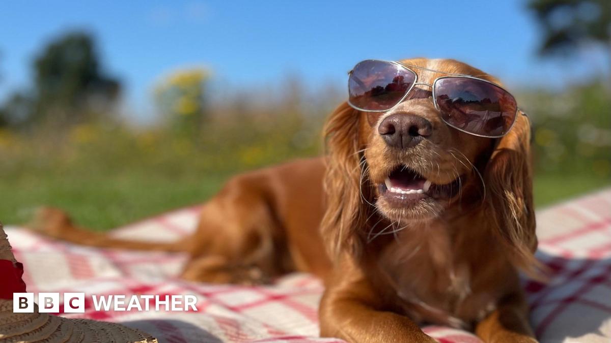 UK weather: A warm end to July - BBC Weather