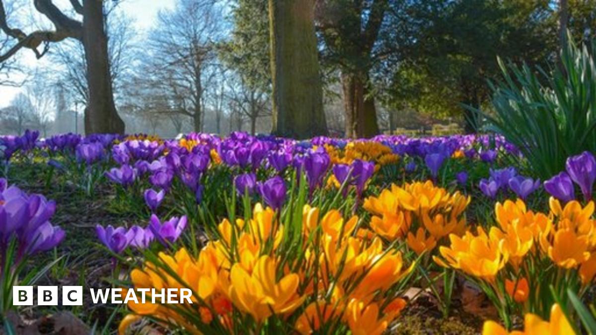 Signs of spring - BBC Weather