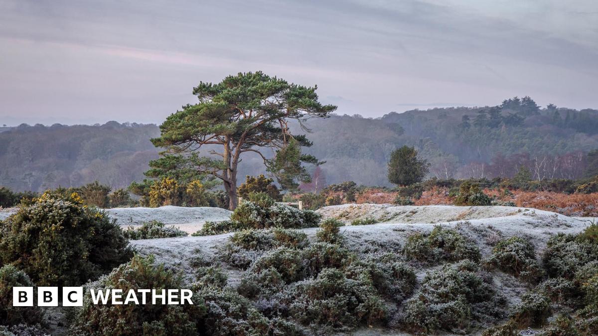 UK Weather: Extreme Volatility & Climate Change Impacts 2024 - memesita ...