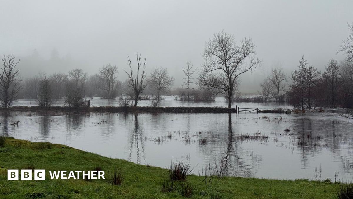 Weather warnings in place as rain continues across most of UK - BBC Weather