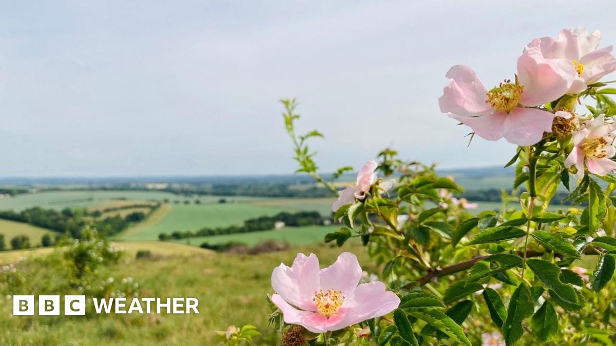 Monthly Outlook - BBC Weather