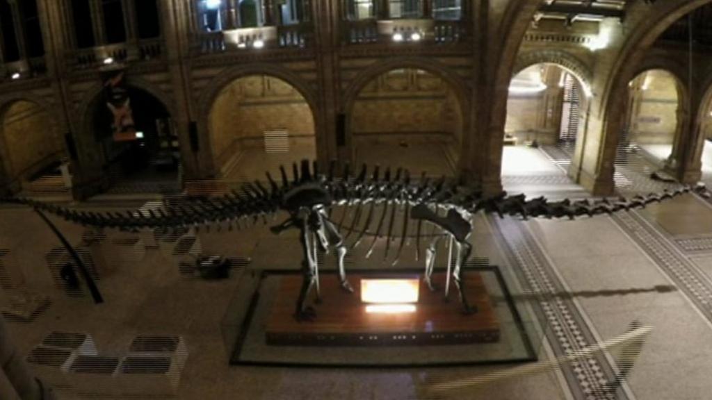 Watch Dippy the dinosaur taken down before big journey - BBC Newsround