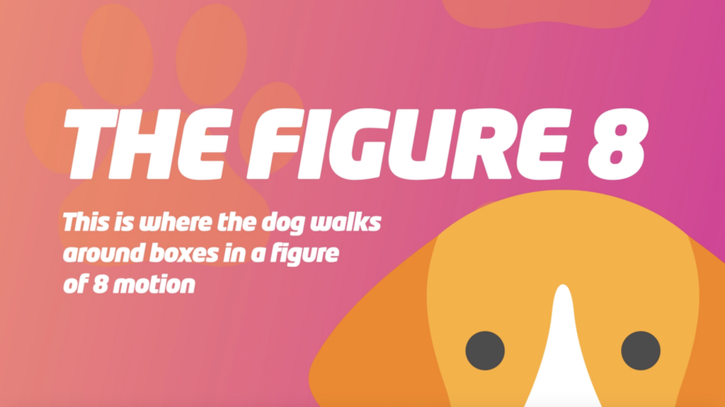 In this video, Kate explains how you can teach your dog to perform the ...