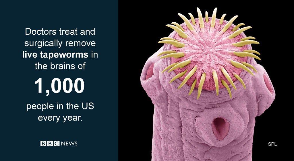 Go Figure: The week in numbers - BBC News