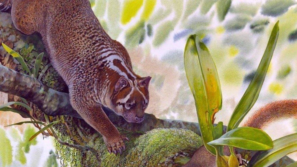 Cave lion: 28,000-year-old cub found frozen in Siberian permafrost ...