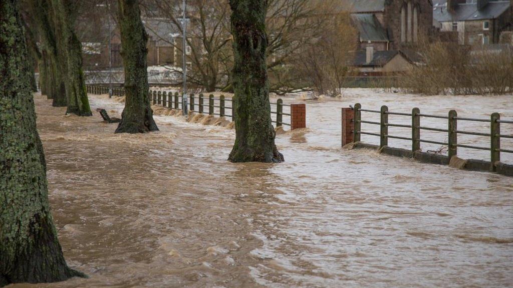 Hawick river dredging calls dismissed - BBC News