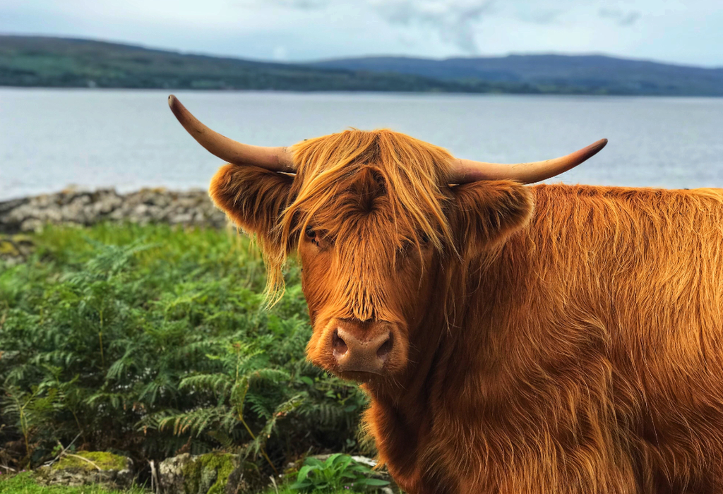 Your pictures of Scotland: 17 - 24 August - BBC News